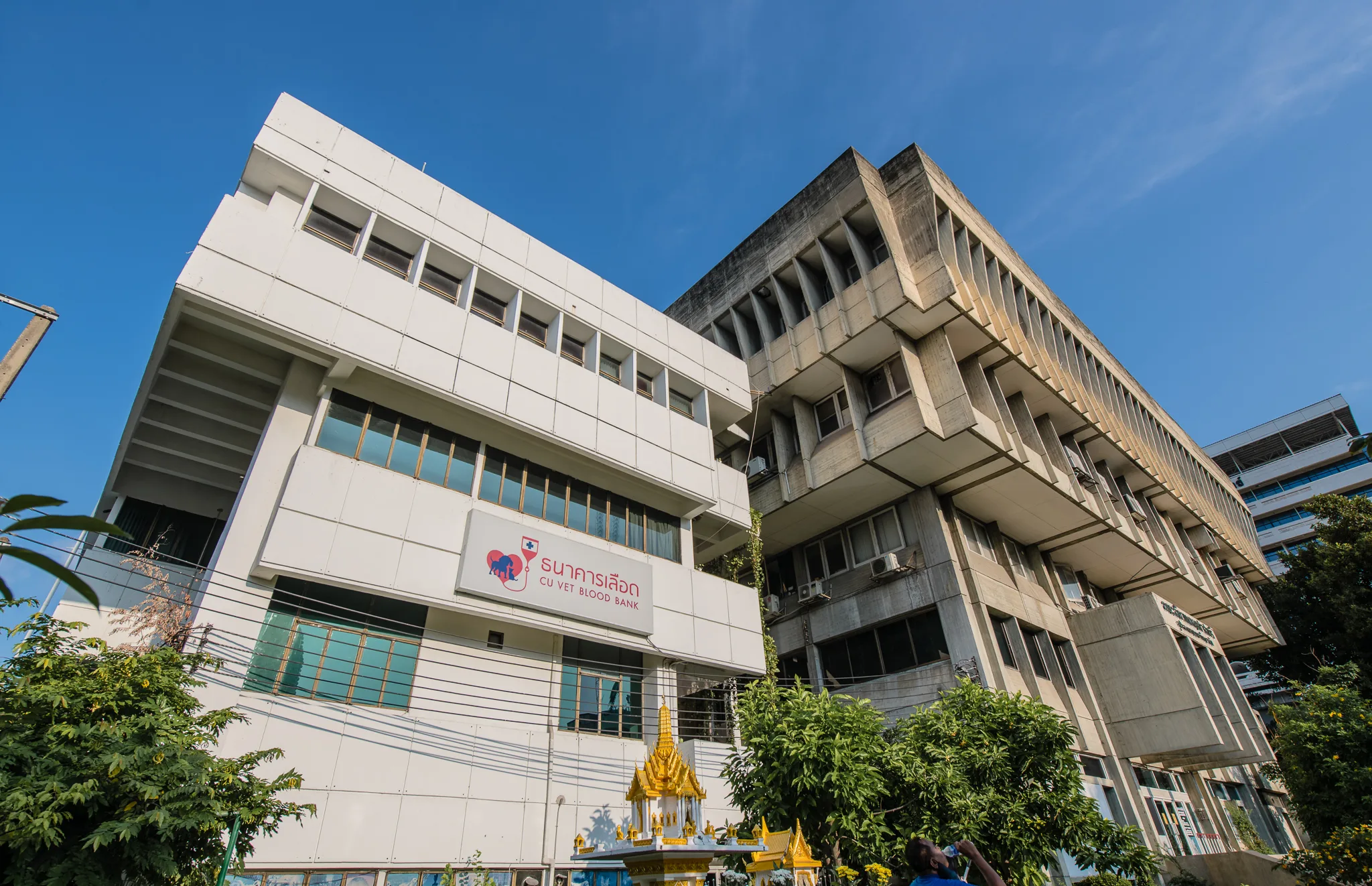 Faculty of Veterinary Science - Chulalongkorn University